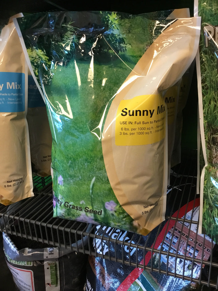Sunny Mix Grass Seed – Friction Landscape Supply